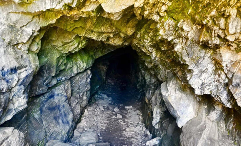 Scientists went inside an ancient island cave and found a 'lost world ...