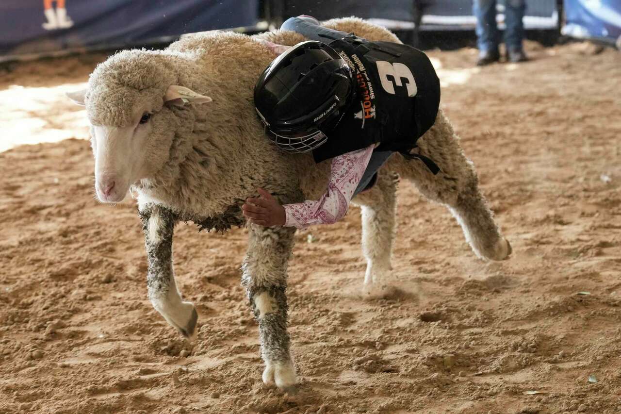 A lifetime of lessons: How mutton bustin' at the Houston Rodeo helped ...