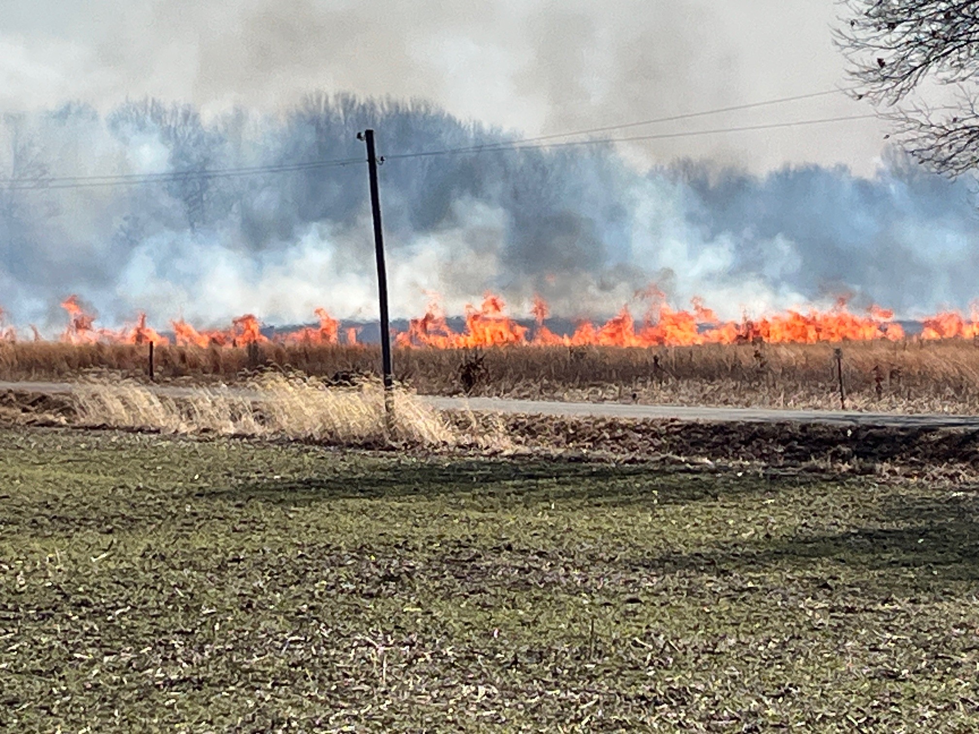 Firefighter faces arson charges after Illinois wildfire burns hundreds ...