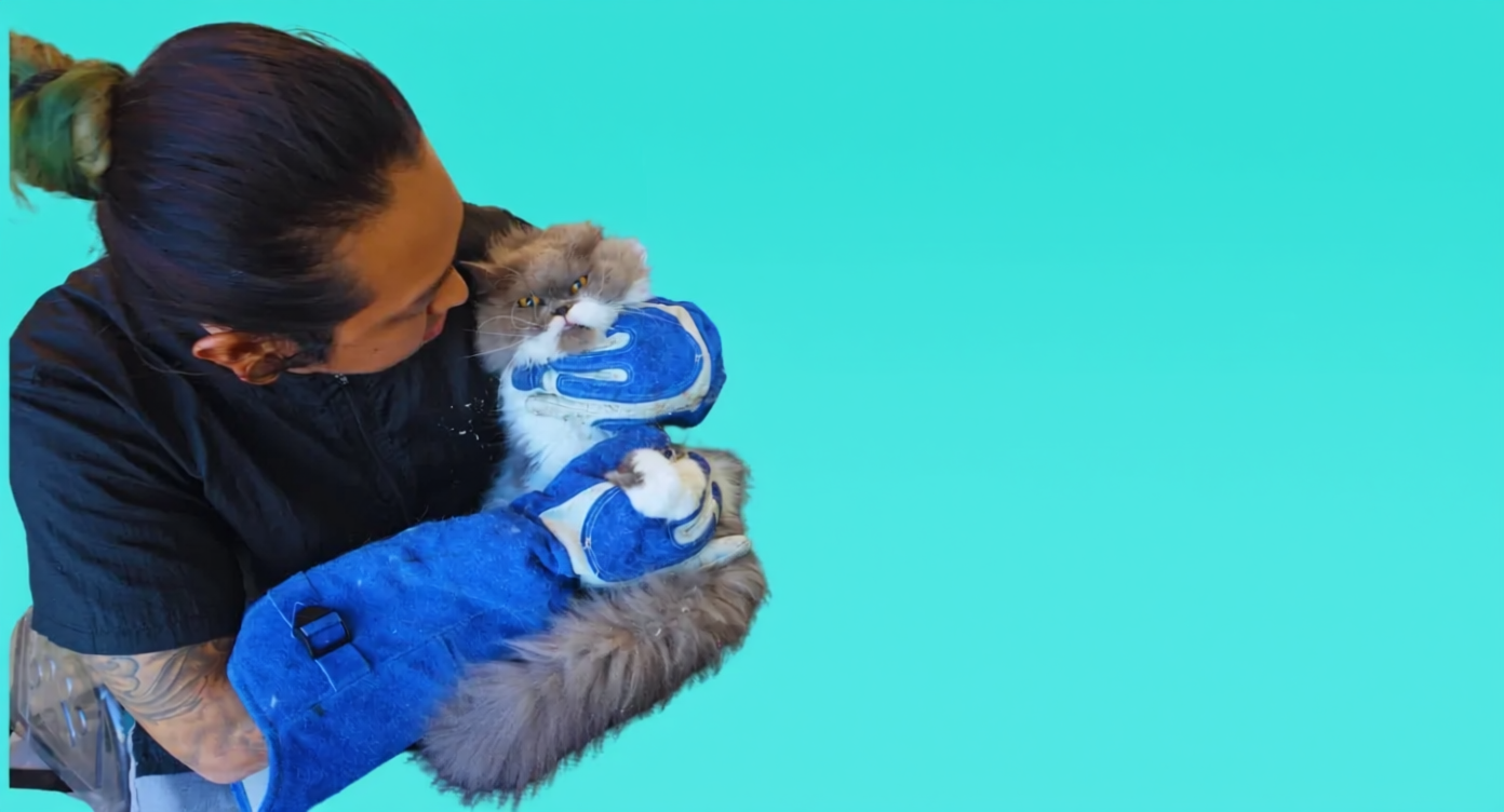Calm groomer takes on a tough case