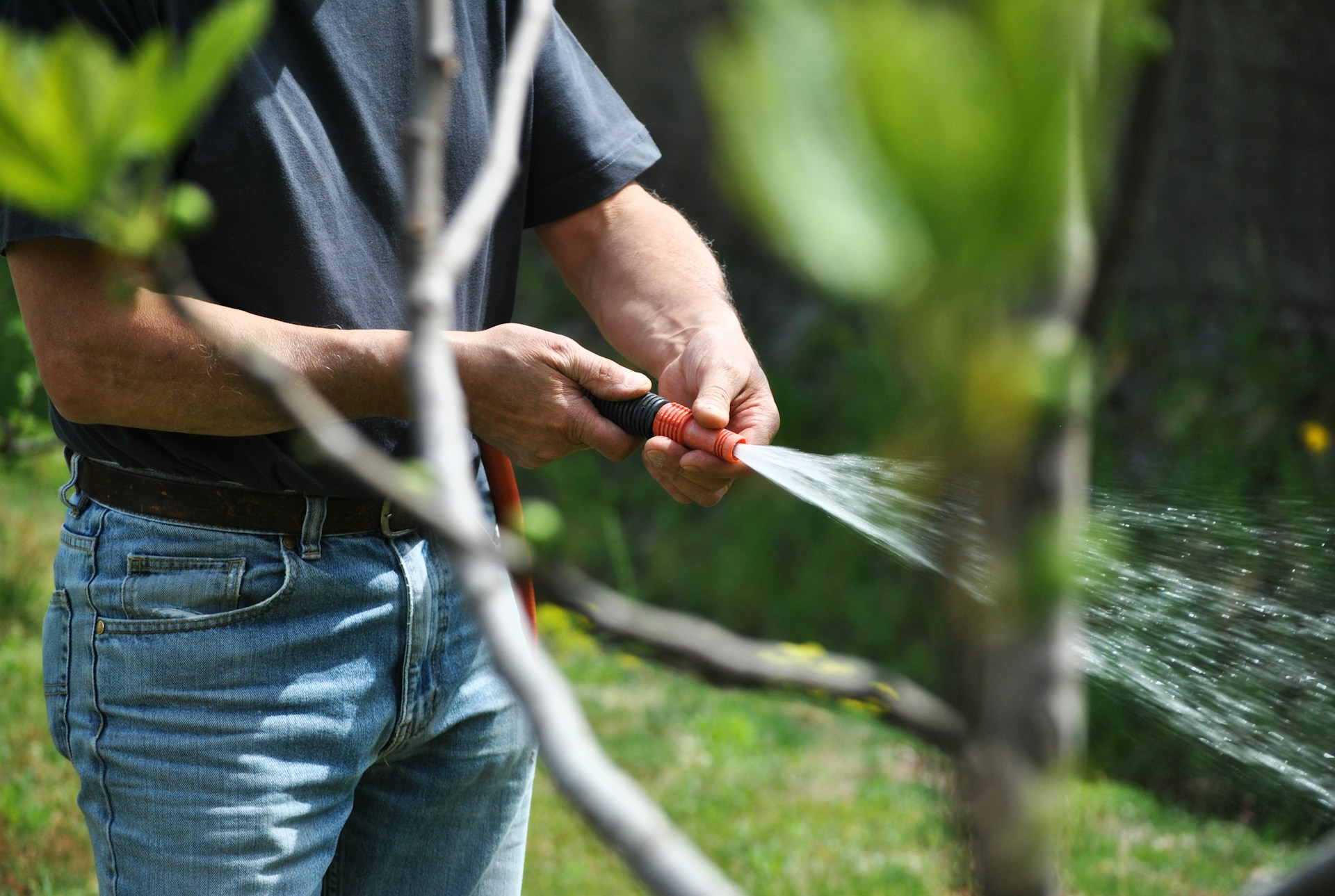 10 gardening mistakes that kill your vegetable patch