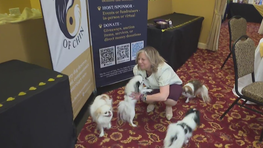 When dogs get sick and the bills pile up, a Pittsburgh nonprofit helps ...