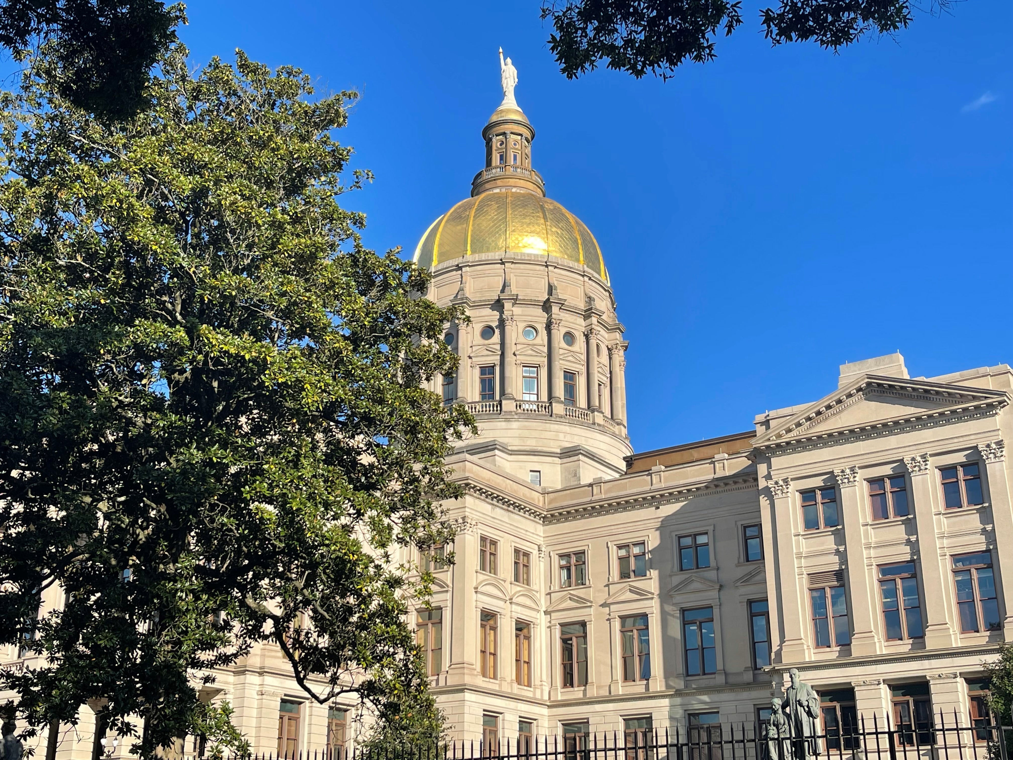 Georgia Senate advances nearly $39B budget, boosts disability waivers ...