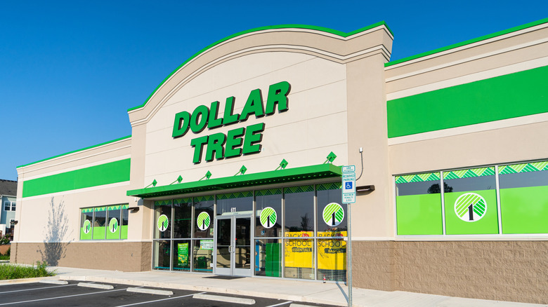 Yes, Dollar Tree sells batteries - but are they any good?