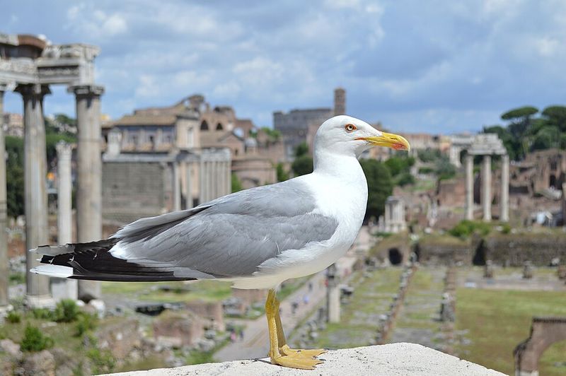 15 places that were once the center of the map