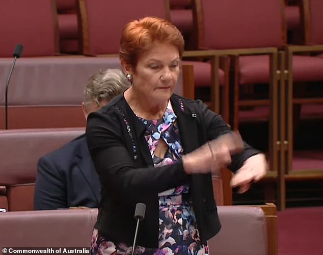 How Penny Wong just got Pauline Hanson in big trouble
