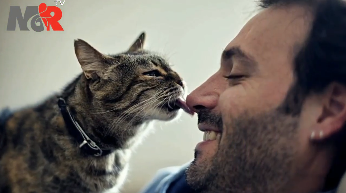 Man rescues orphaned kitten – one year later, the love never stopped