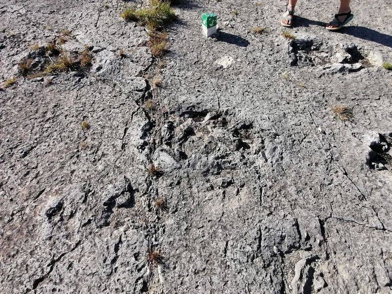 This limestone gorge hike in Texas follows a trail of dinosaur tracks