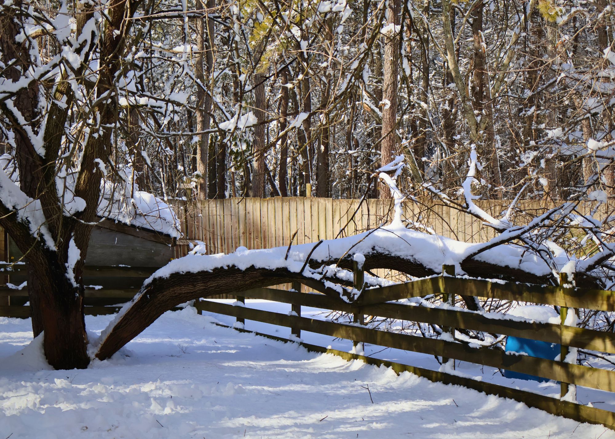 Blizzard causes heavy damage to New Jersey animal refuge