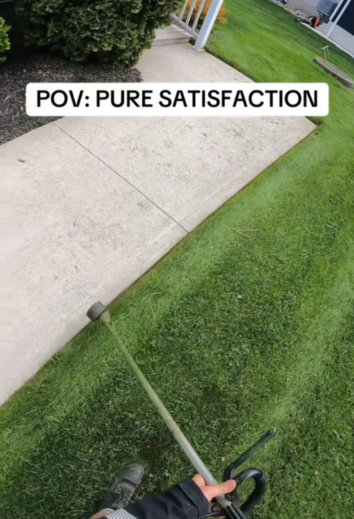 Living the stripe life, clean lines & perfect lawn patterns