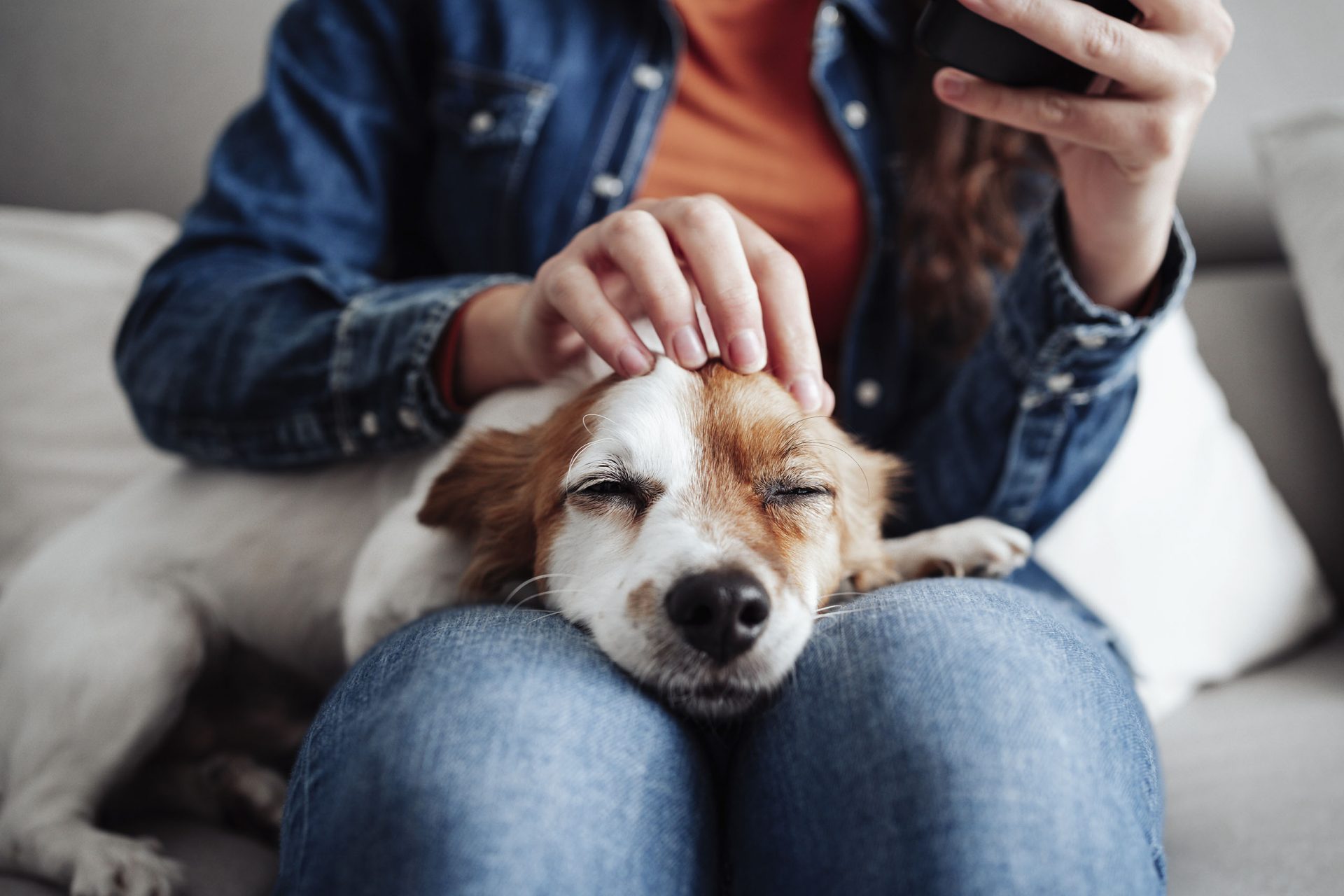 Leef je langer als je een hond hebt? Wetenschappers geven antwoord