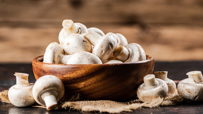 16 edible mushroom varieties and what to do with them