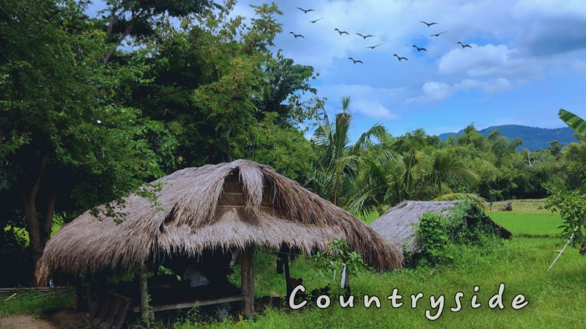 A slice of my countryside life with a hot tamarind beef soup