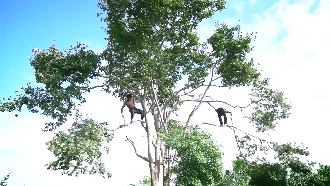 We tried building 12 meters up, until one mistake nearly stopped everything
