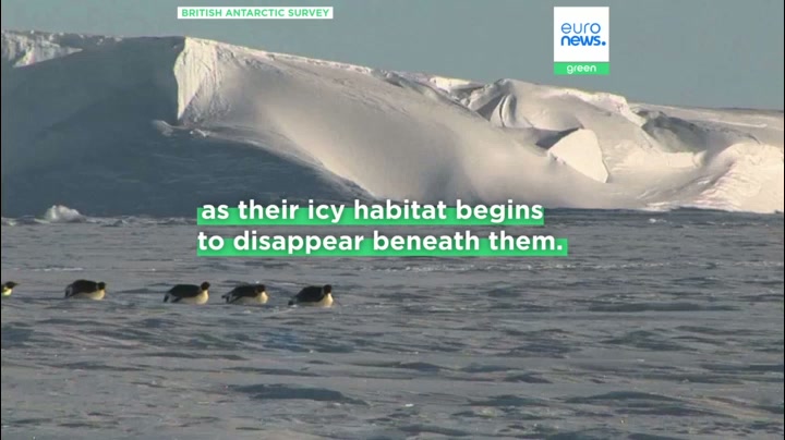 Latest news bulletin | March 2nd, 2026 – midday