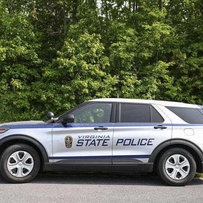 Woman and dog killed, 3 others stabbed in road rage incident on DC Beltway