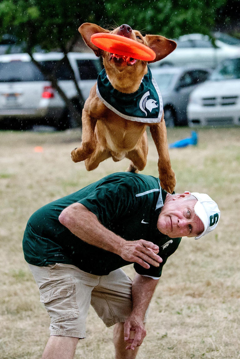 MSU's beloved 'Zeke the Wonderdog' dies. What family is saying