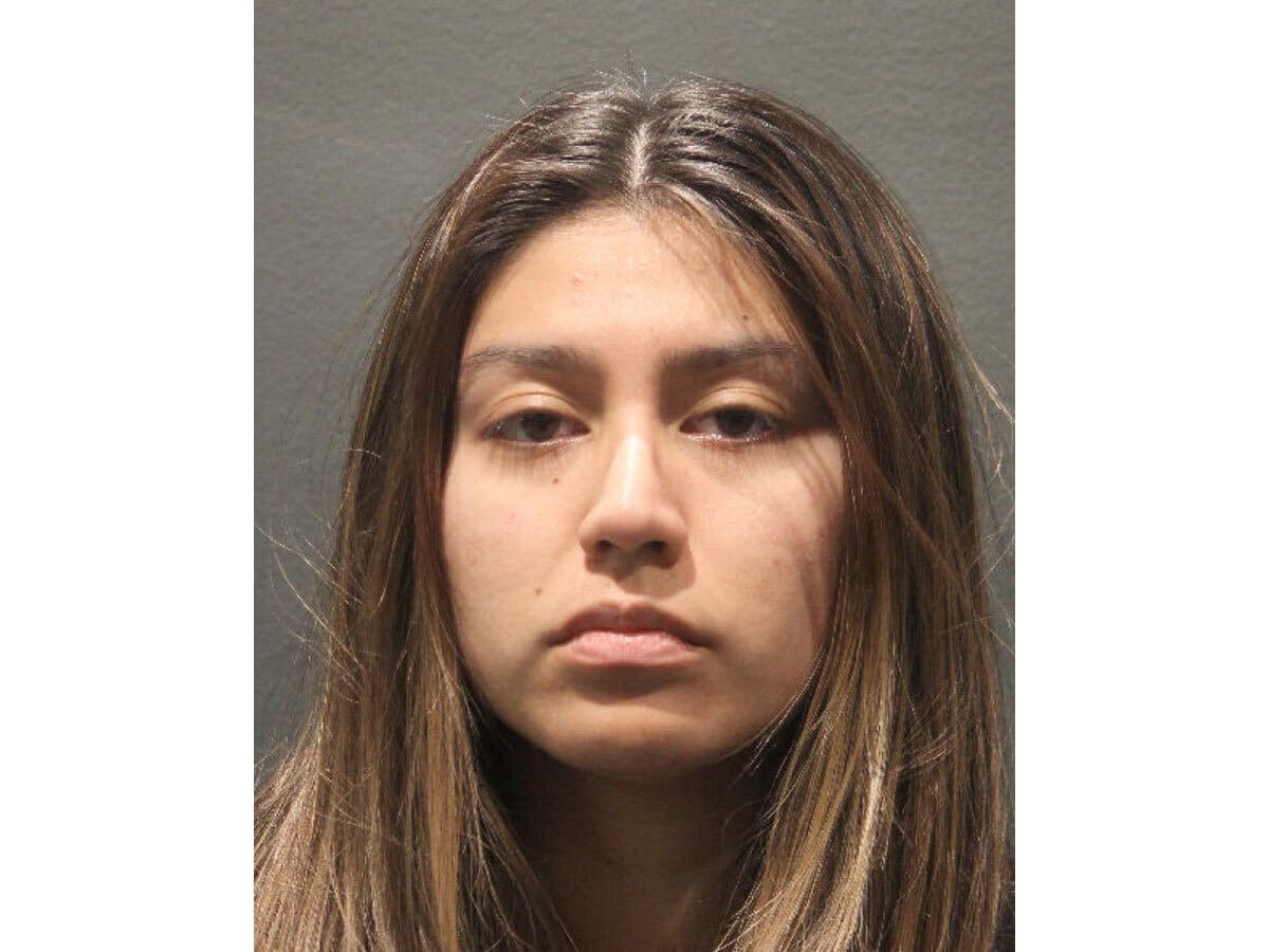 Arlington woman who fled Ashton Heights crash faces felony hit and run ...