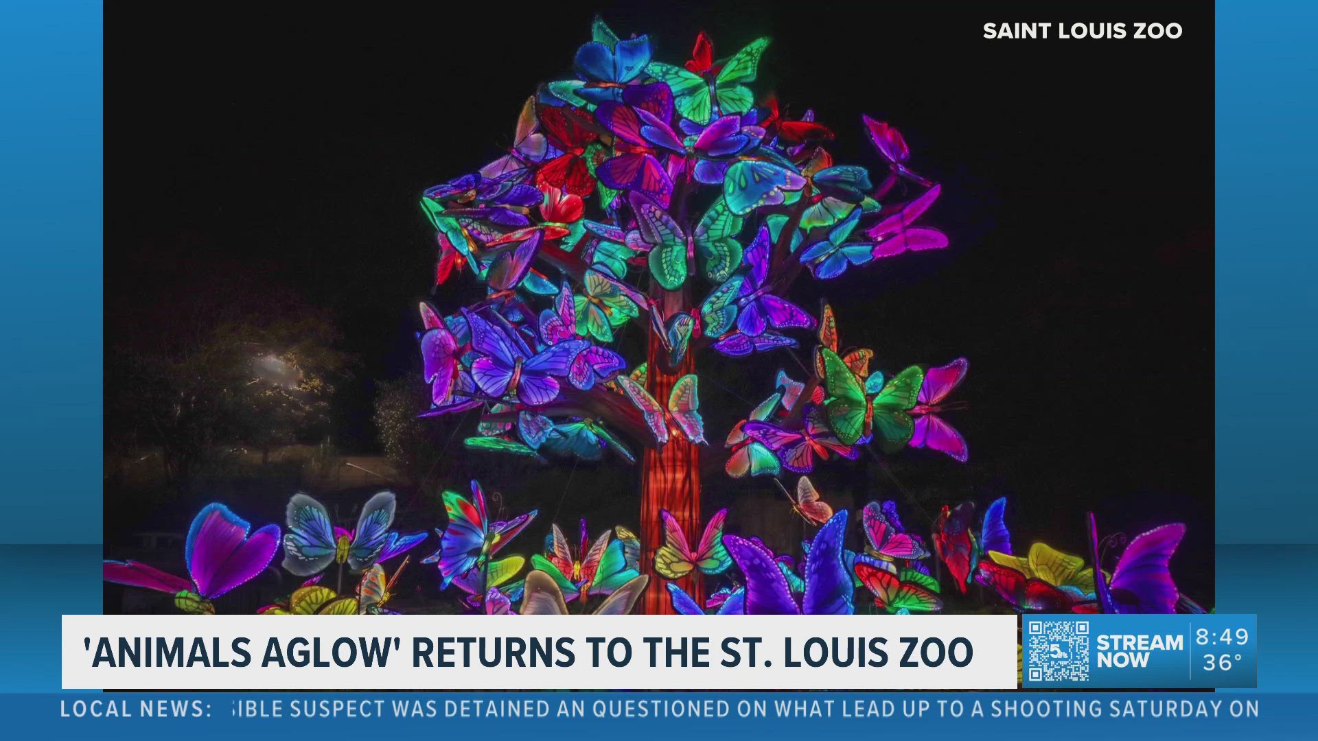 Saint Louis Zoo’s Animals Aglow returns for 3rd year