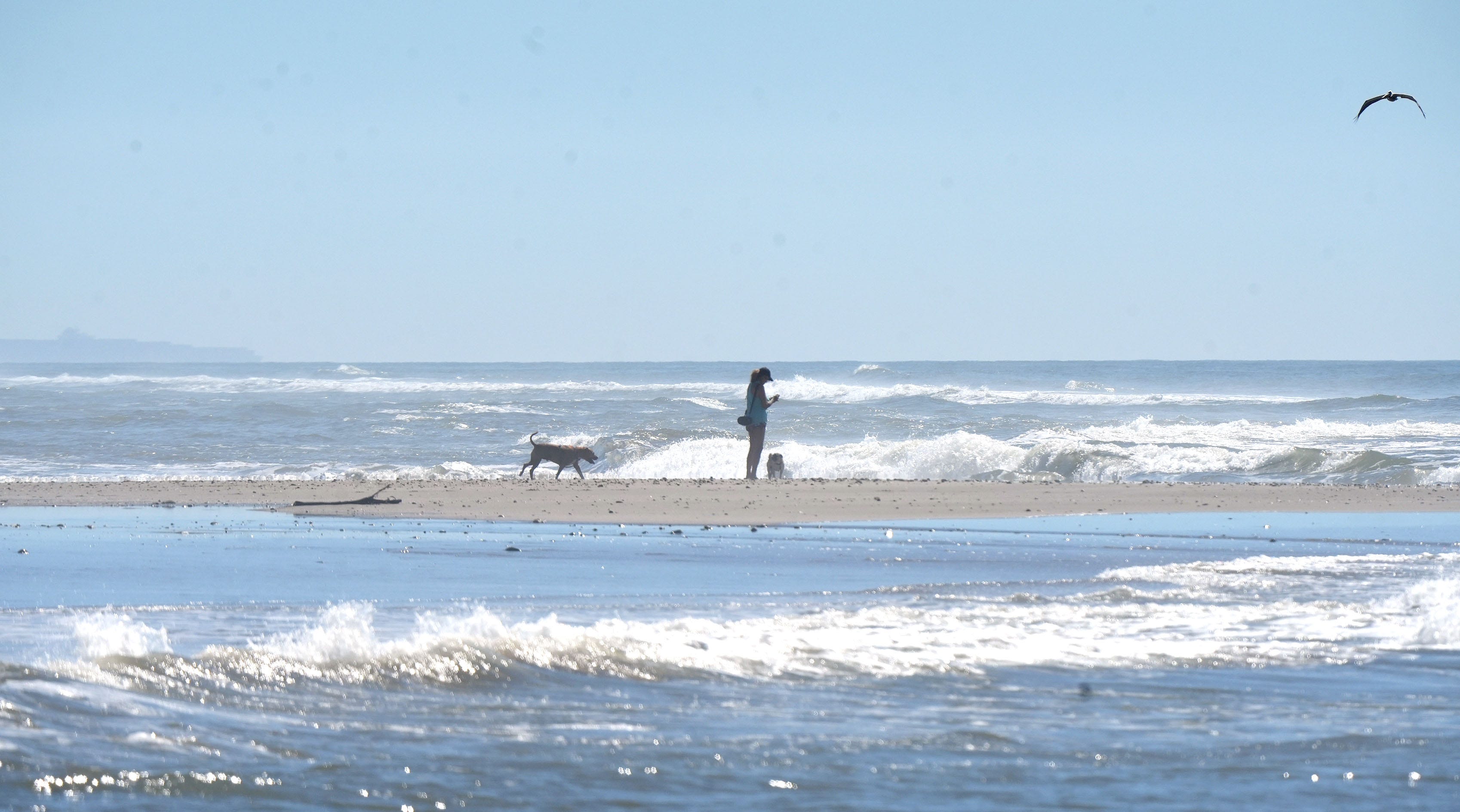 Central Coast beachgoers urged to stay out of ocean as deadly tides surge