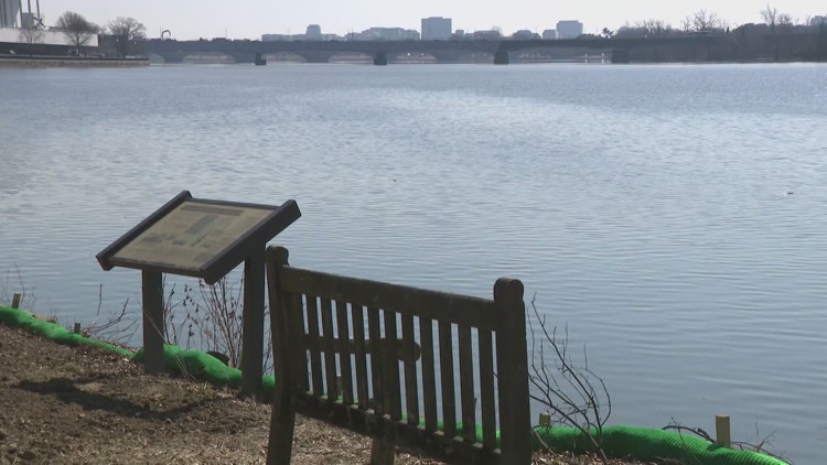 Drought watch in effect in DMV