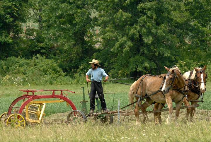 10 jobs that are common among the Amish