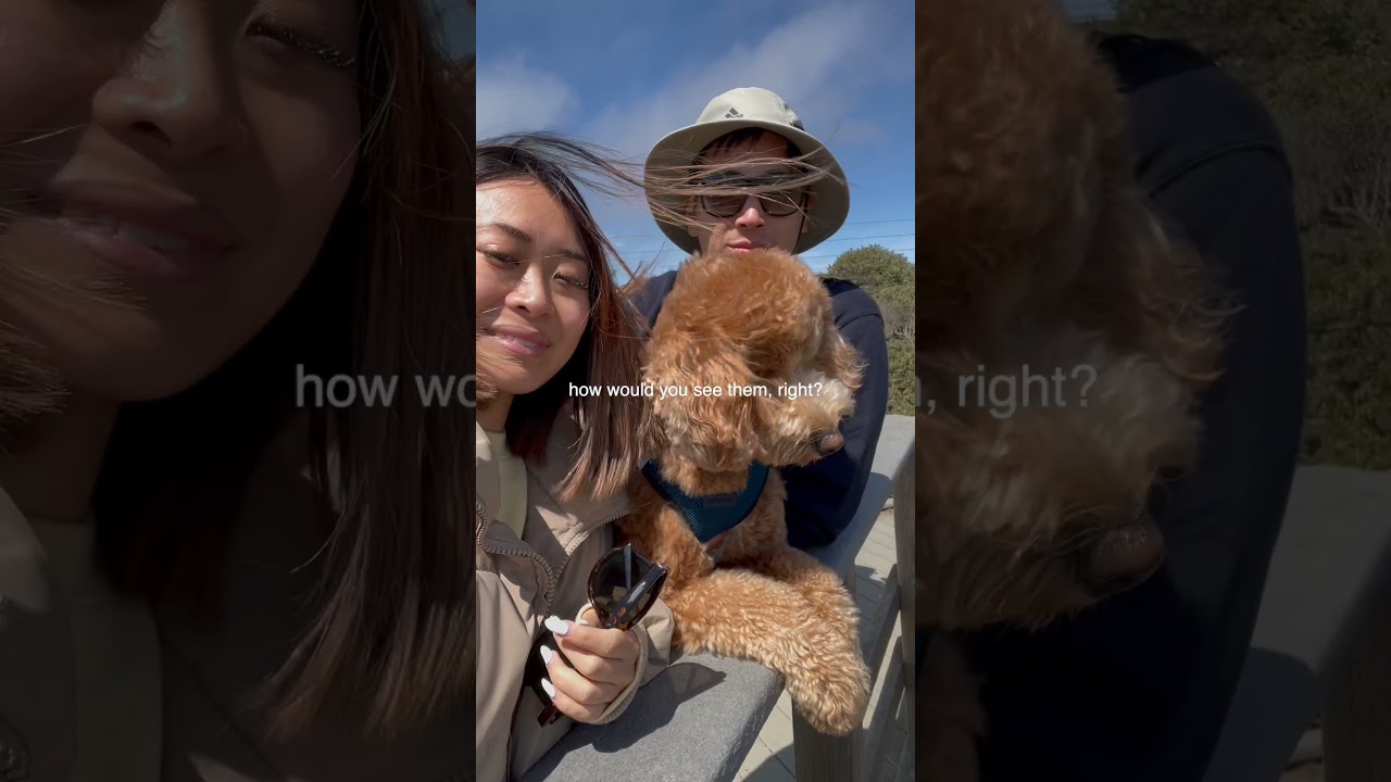 Learn why love should be your true north in life