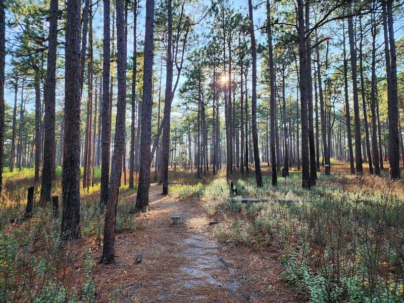 15 best places to retire in the US and what makes them stand out