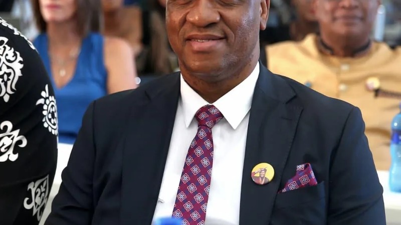 KZN premier taken to court over controversial HOD appointment at public ...
