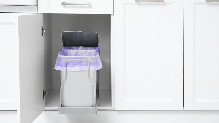 The gross downside of pull-out cabinet trash bins