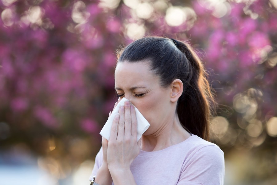 Prepare early for allergy season in Mississippi, experts say