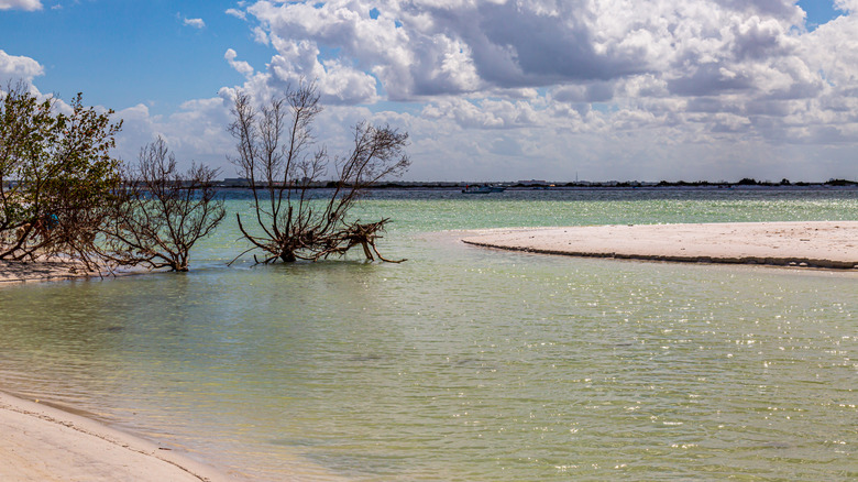 One of America's best beaches in 2026 is a breathtaking Florida island ...