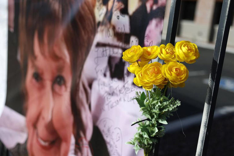 Nancy Guthrie investigators urged to 'rerun' DNA sample as search hits ...