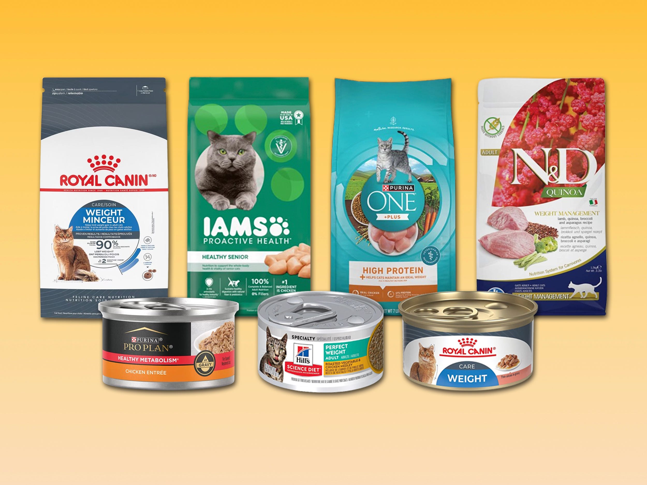 Best weight loss food for cats, according to veterinary guidelines