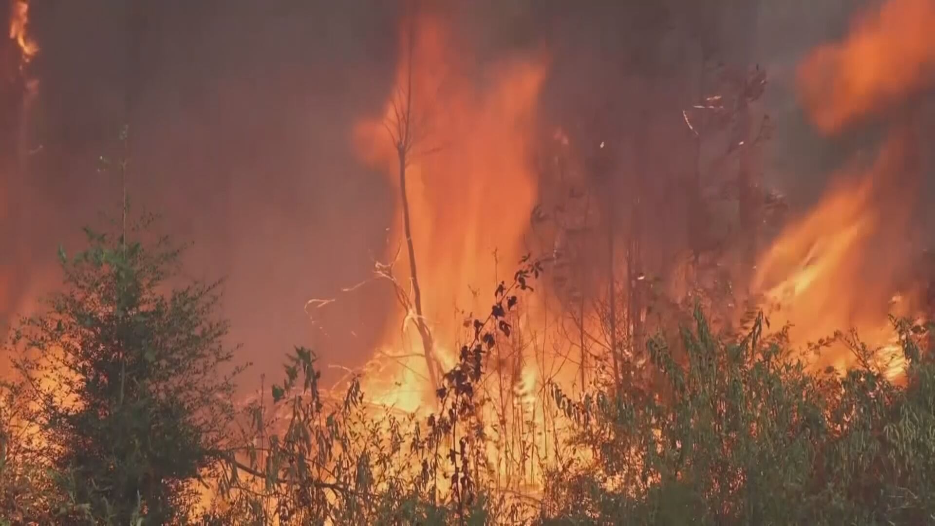 Multiple counties implement burn bans due to dry, windy conditions