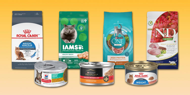 Best weight loss food for cats, according to veterinary guidelines