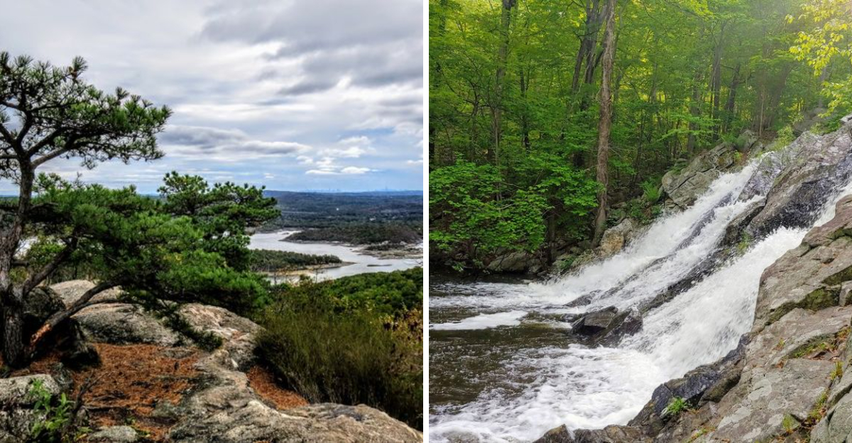 This rugged stretch of New Jersey wilderness feels like another world