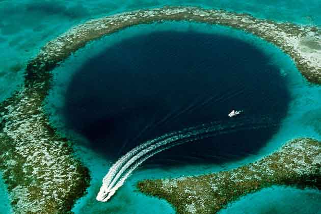 Hauntingly bizarre things found in the ocean depths, some look like ...