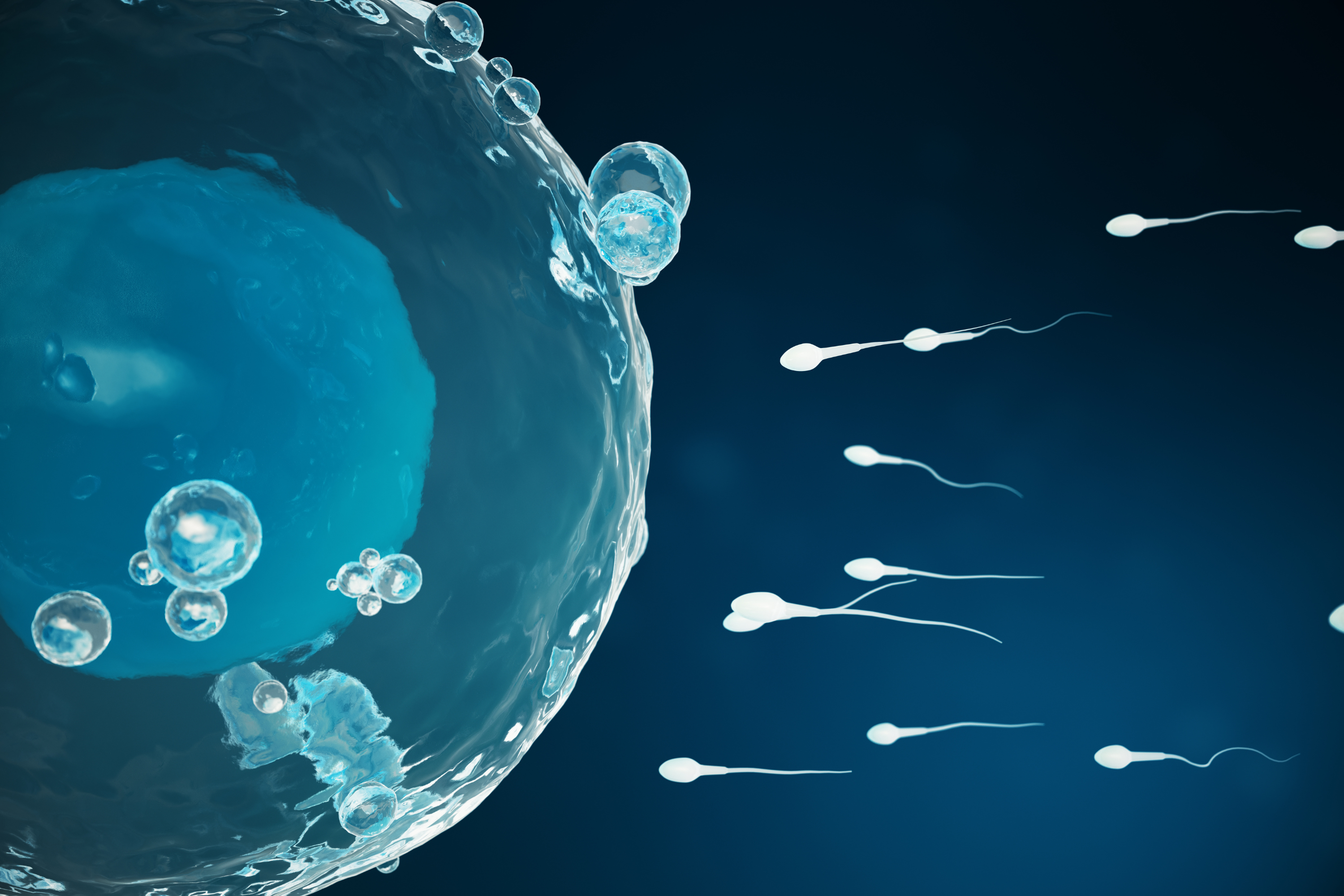 Scientists reveal the time of year when men are more fertile