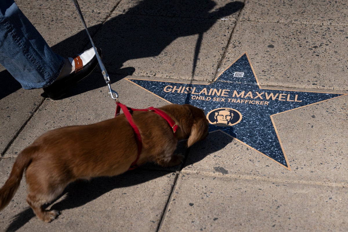 ‘Jeffrey Epstein Walk of Shame’ placed close to White House