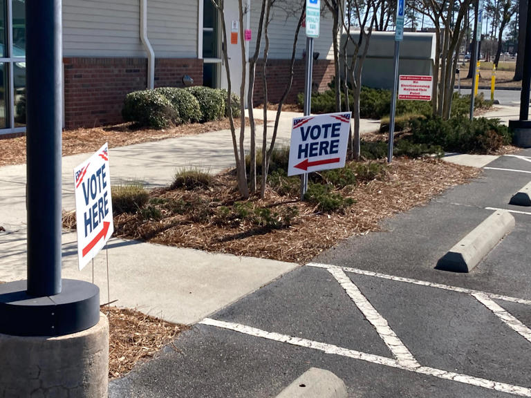 Election day guide: What to know about polls, candidates before you vote