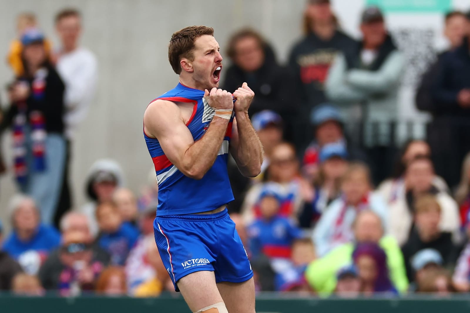Melbourne reveals May replacement, Western Bulldogs sign key forward