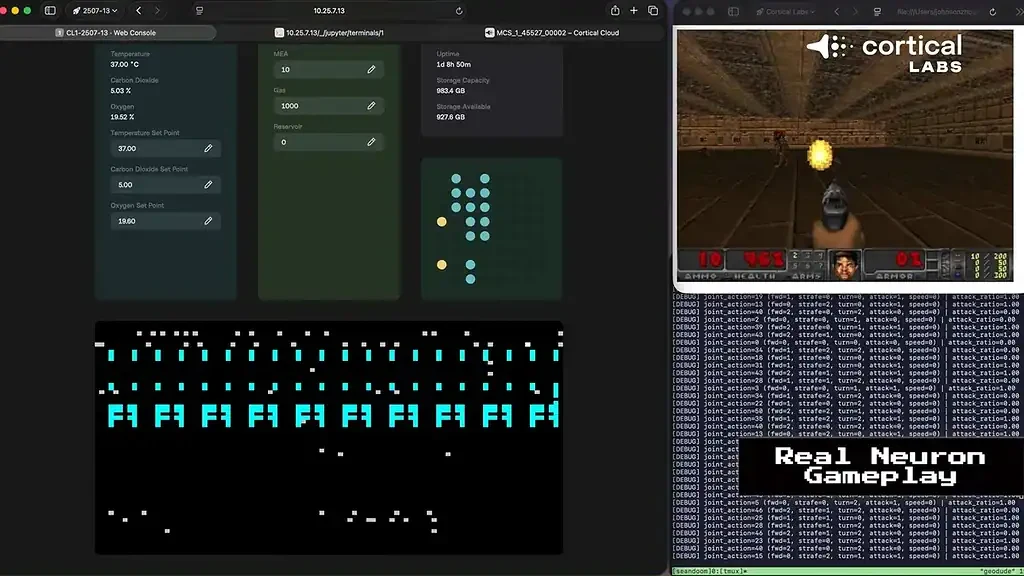200,000 living human brain cells just learned to play Doom and this is ...