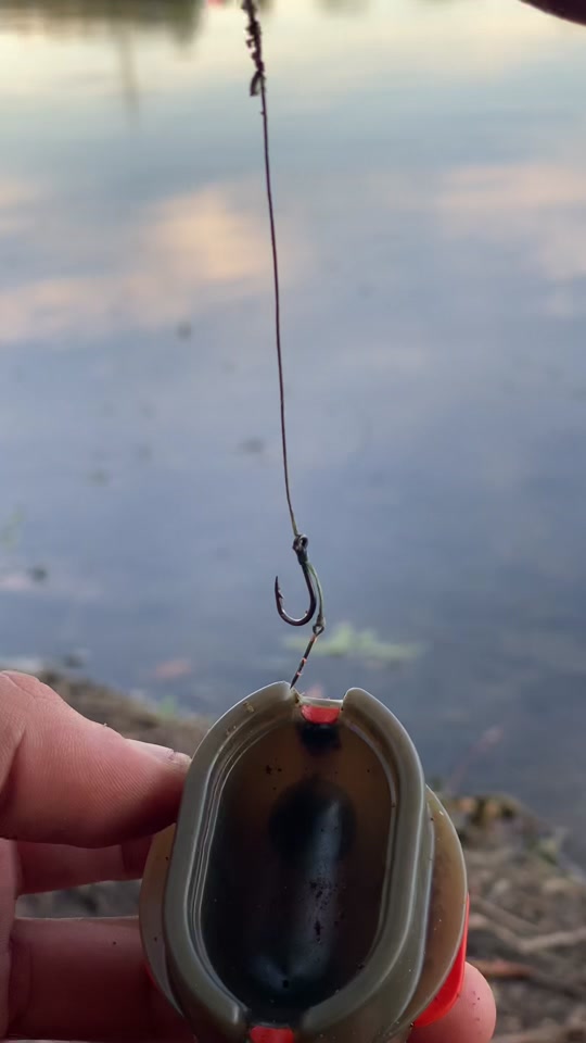 Fishing adventure montage from lake to table