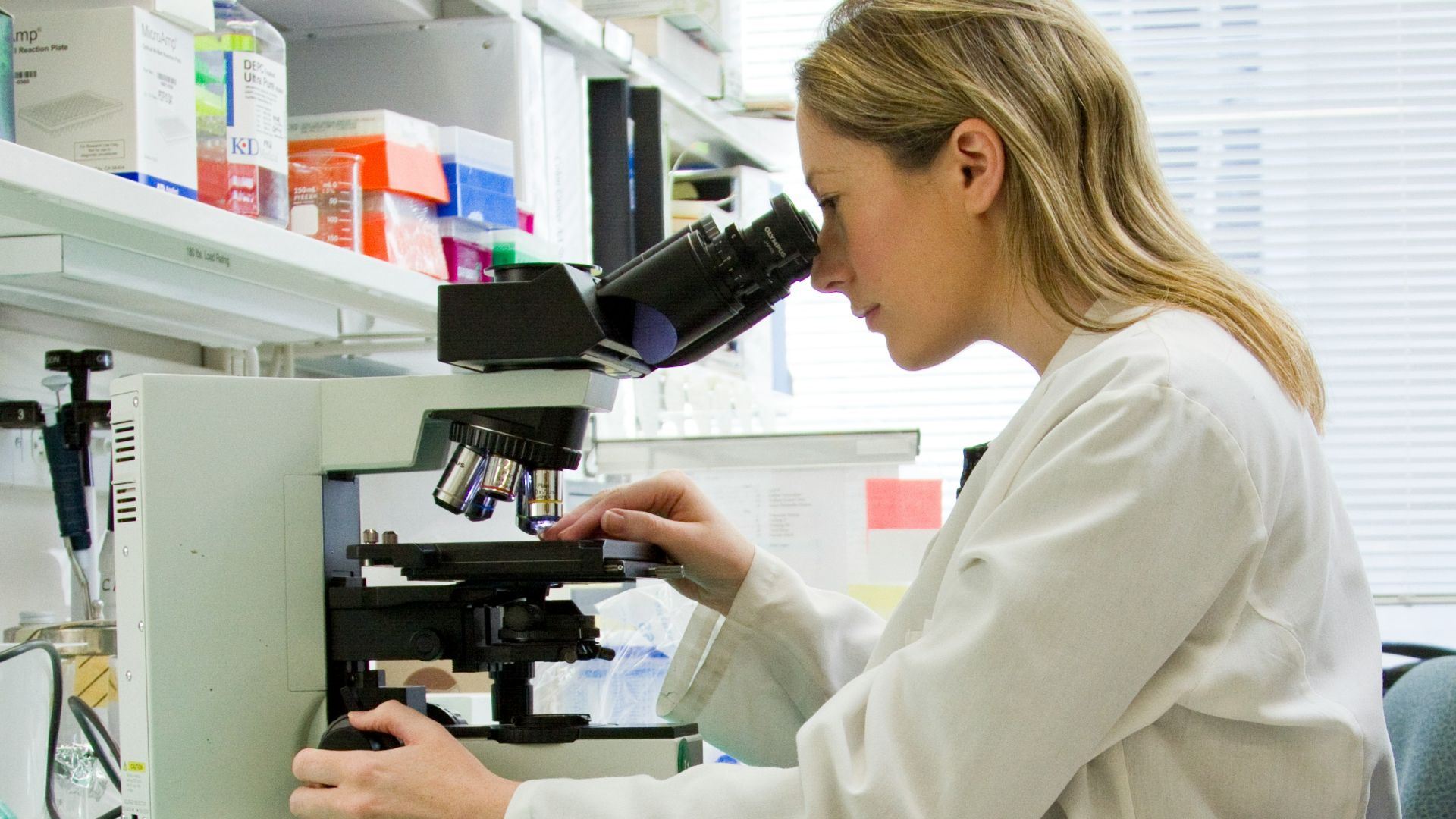20 viruses that actually benefit mankind