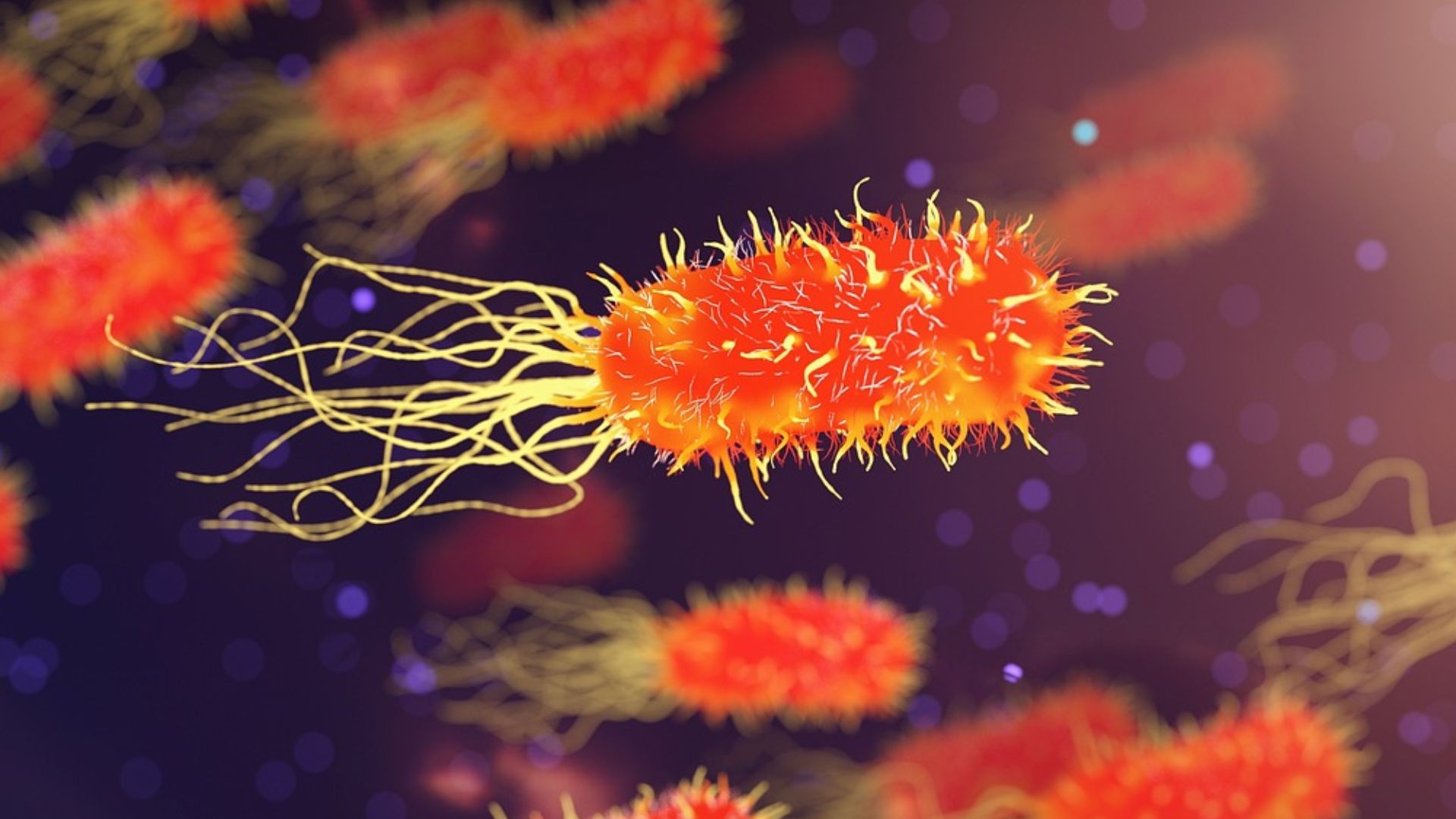 20 viruses that actually benefit mankind