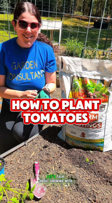 Organic soil preparation tips for strong plants