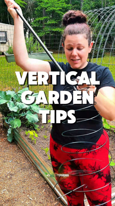 Trellis gardening tips for strong climbing plants