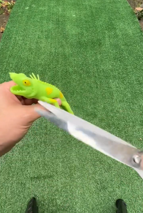 Lizard Flooded My Garden?!