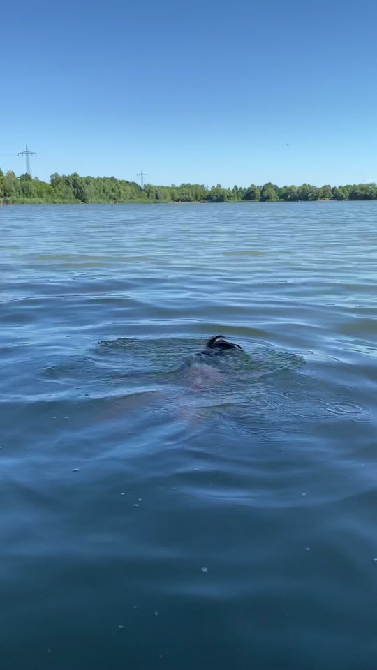 Catch and release carp amazing fishing video compilation